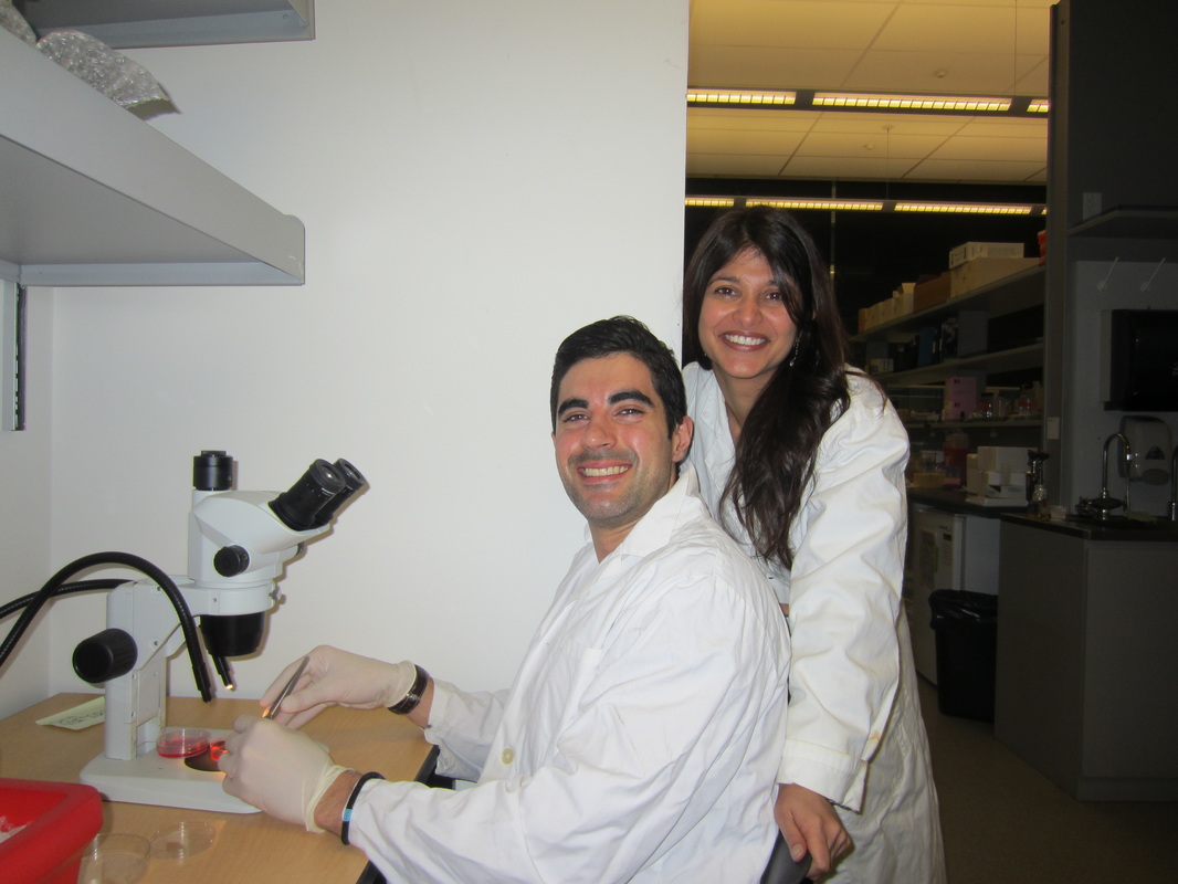 In the Lab - Bamji Lab